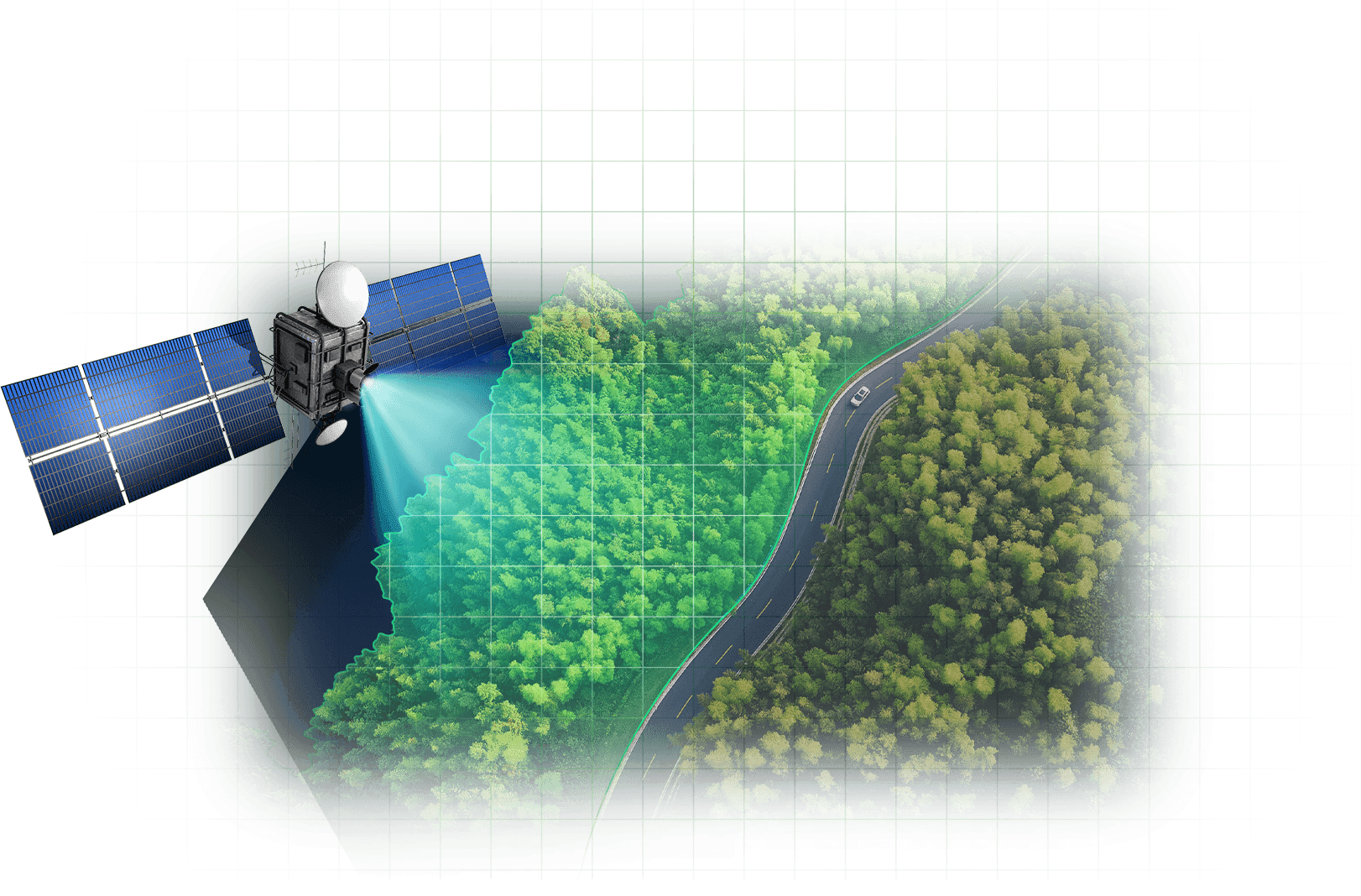 Carbon Sensor
